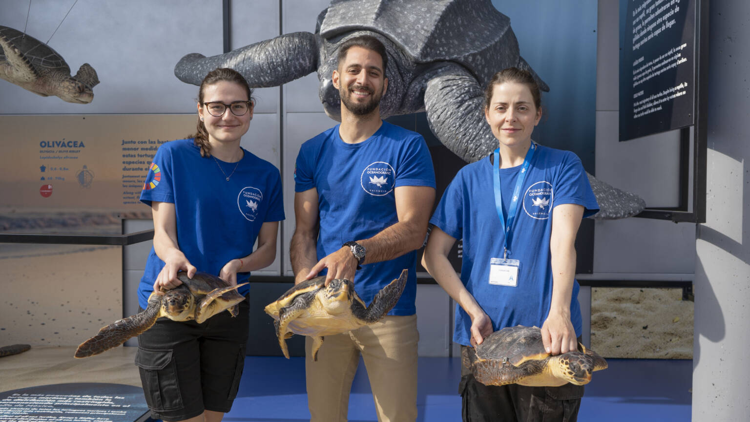 Voluntariado - Fundación Oceanogràfic
